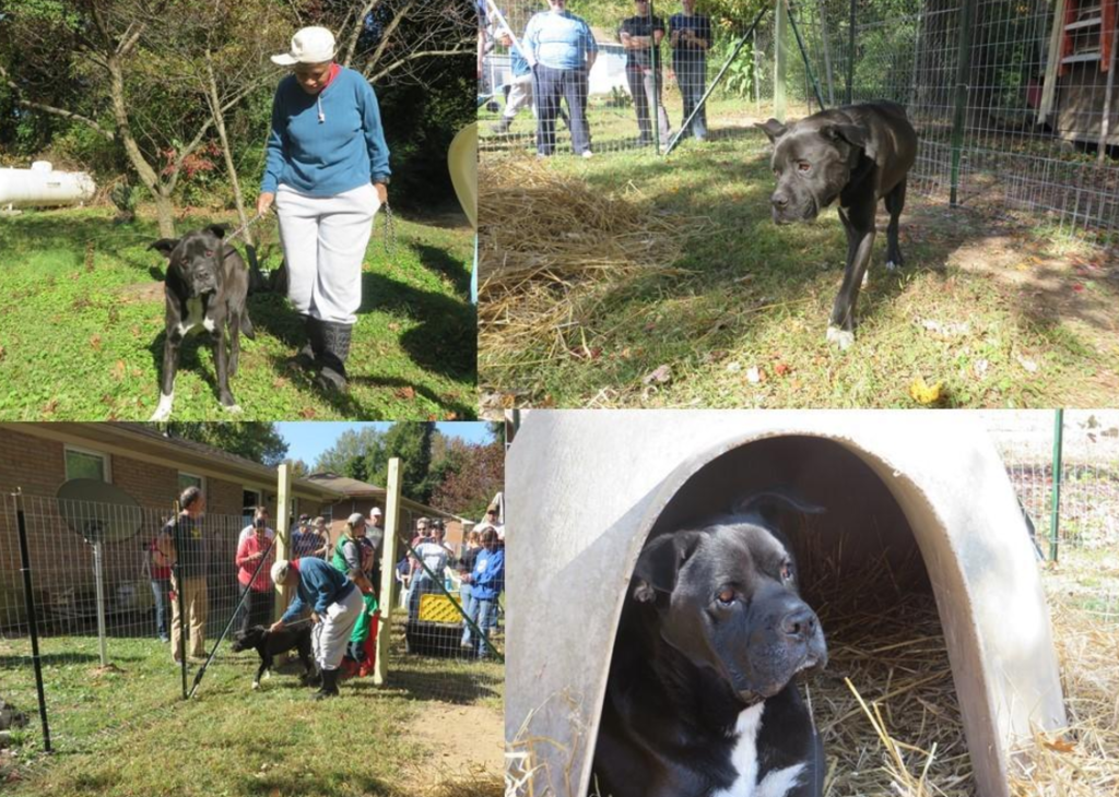 Fence Program | Beyond Fences